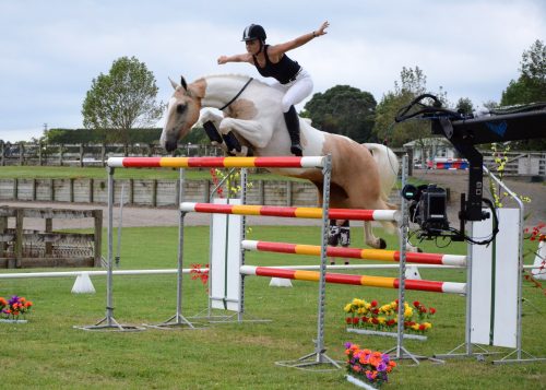 The Free Rein - Free Riding NZ